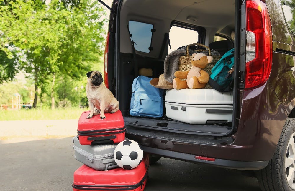 Used Car dealers | Sussex & East Anglia | SLM Select